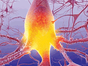 neuro | DiarioAbiertoDiarioAbierto