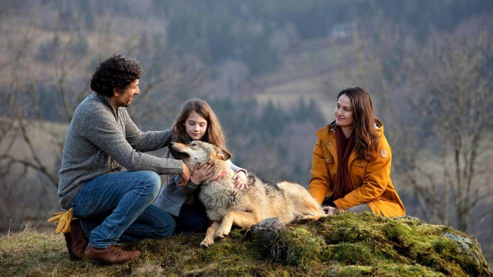 La compleja relación entre el hombre y el lobo | DiarioAbiertoDiarioAbierto